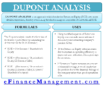 DuPont Analysis | Definition, Calculate ROE, Formula, Uses, Example
