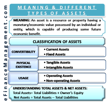 Meaning and Different Types of Assets | Classification & More
