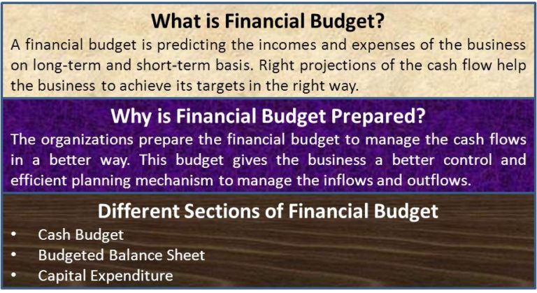 What Is Financial Budget How To Plan Various Sections In It EFM