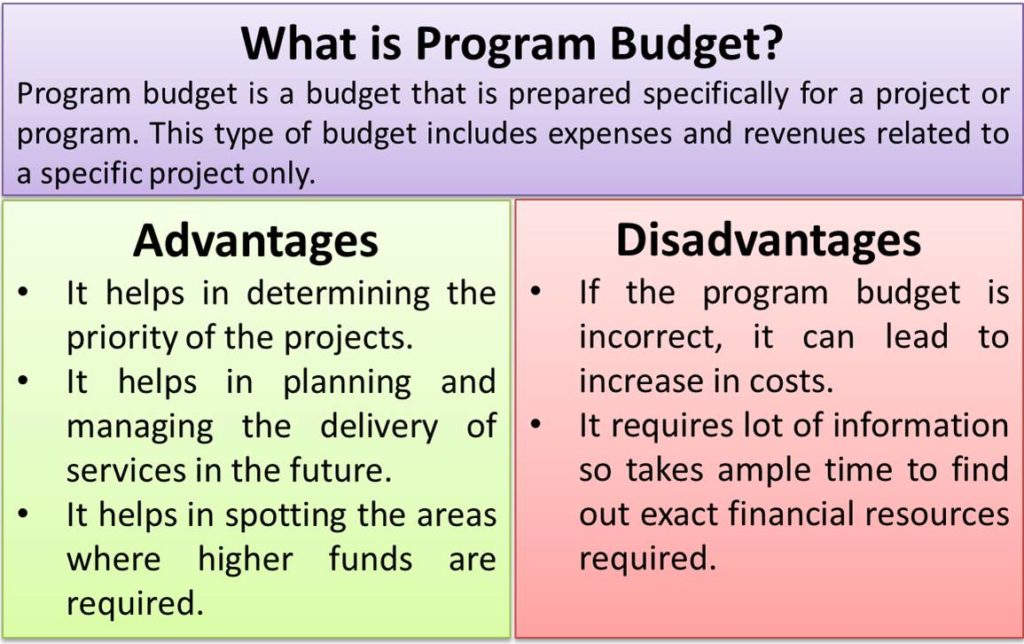 What Is Program Budget Advantages Disadvantages EFM What Is Program Budget Advantages Disadvantages EFM