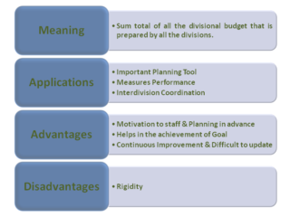 Master Budget | Meaning, Applications, Advantages and Disadvantages