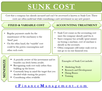 Sunk Cost | Meaning, Fallacy, Examples, Importance | eFM