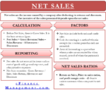 Net Sales - eFinanceManagement