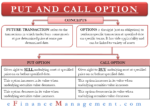 Put and Call Options - eFinanceManagement