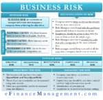 Business Risk – Meaning, Causes, How to Reduce and More
