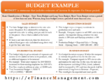 Budget Example | Types - Sales, Incremental, Production, Business | eFM