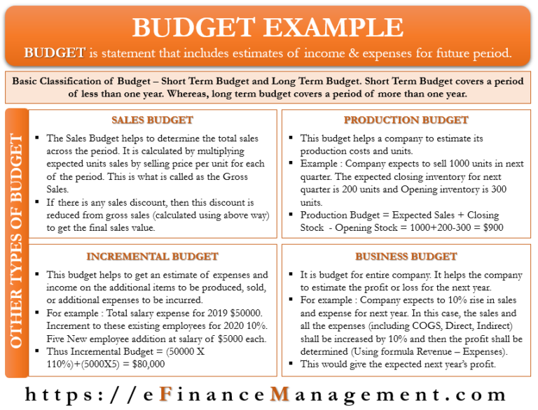 Budget Example | Types - Sales, Incremental, Production, Business | eFM