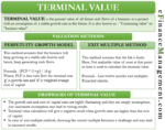 Terminal Value: Meaning, Methods of calculation, Limitations