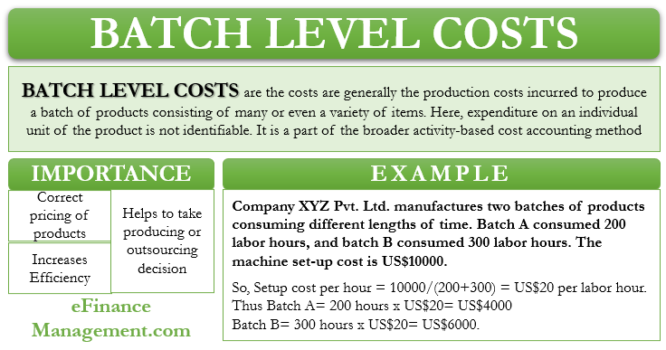 Batch level costs: Meaning, Importance, Calculation
