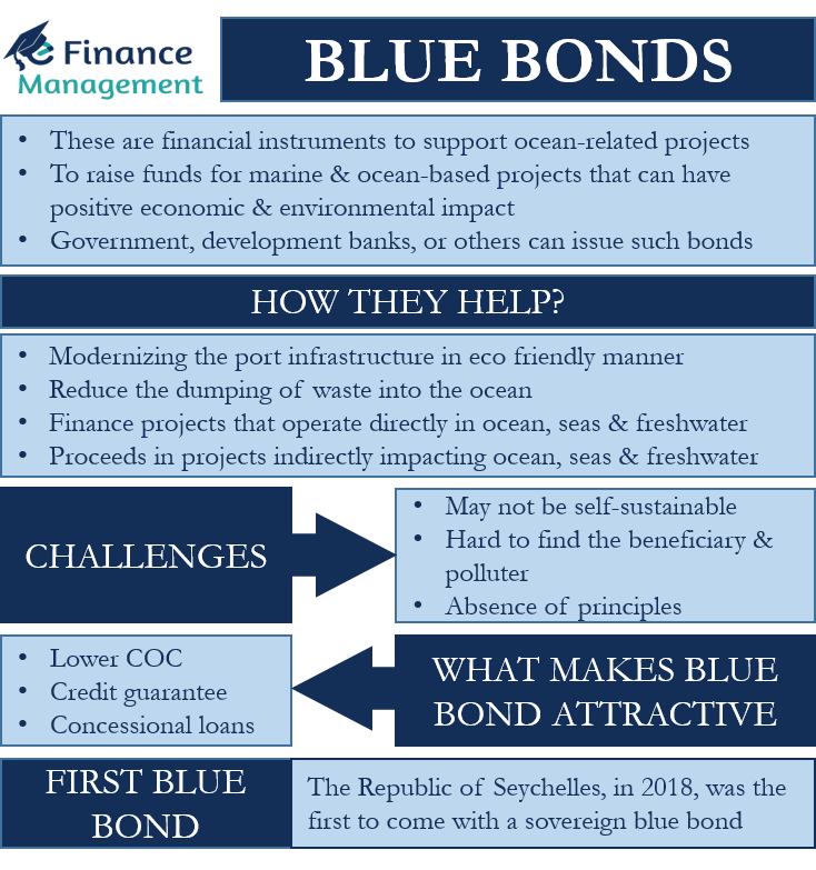 Blue Bonds Meaning Challenges Uses And More