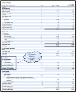Long Term Liabilities | Meaning, List, Calculation and Use | eFM